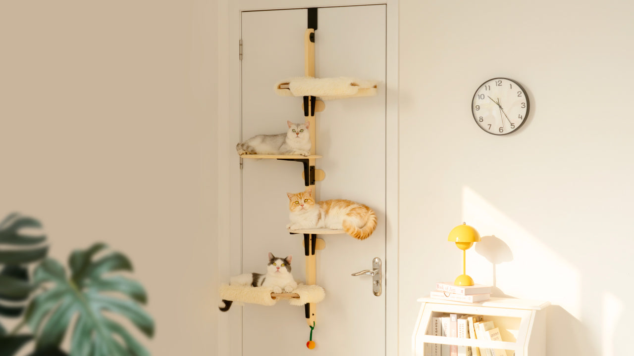 Sherman Door Cat Tree Ultimate - MewooFun