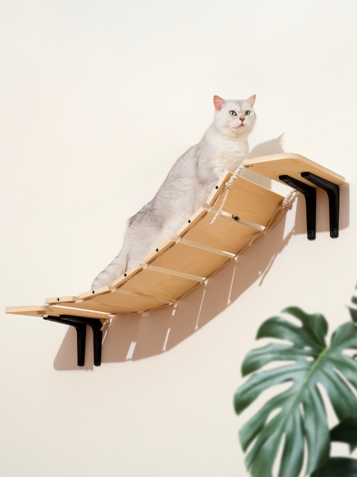 MewooFun - Official Site