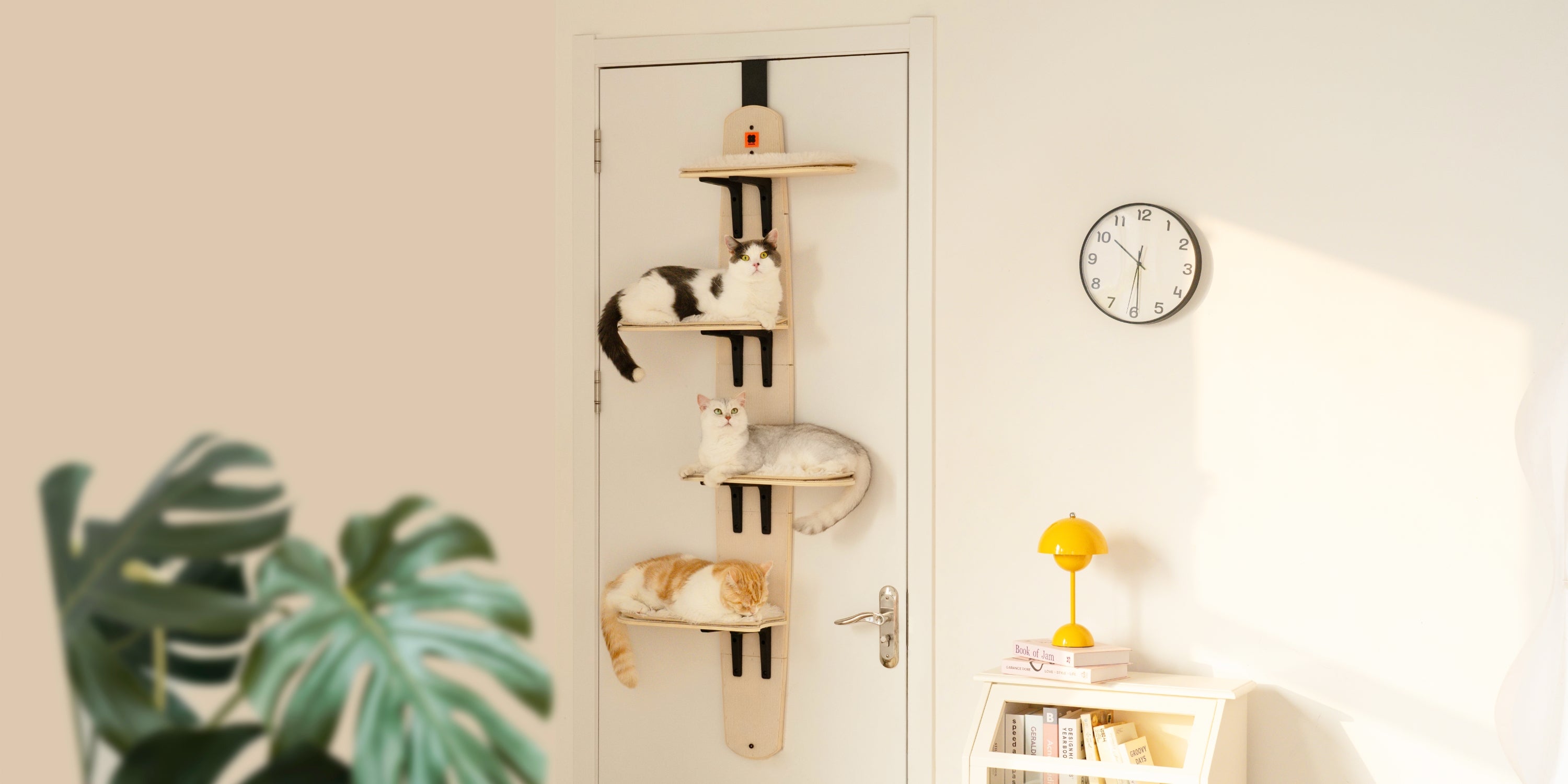Sherman Door Cat Tree Premium - MewooFun