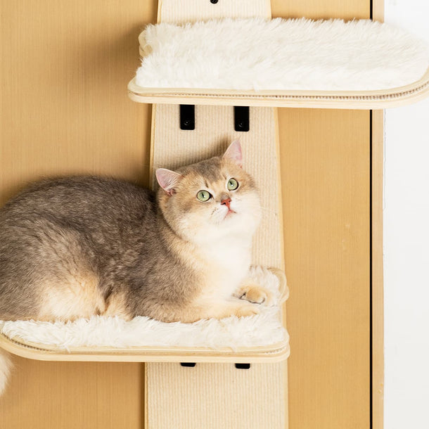 Sherman Door Cat Tree Premium - MewooFun